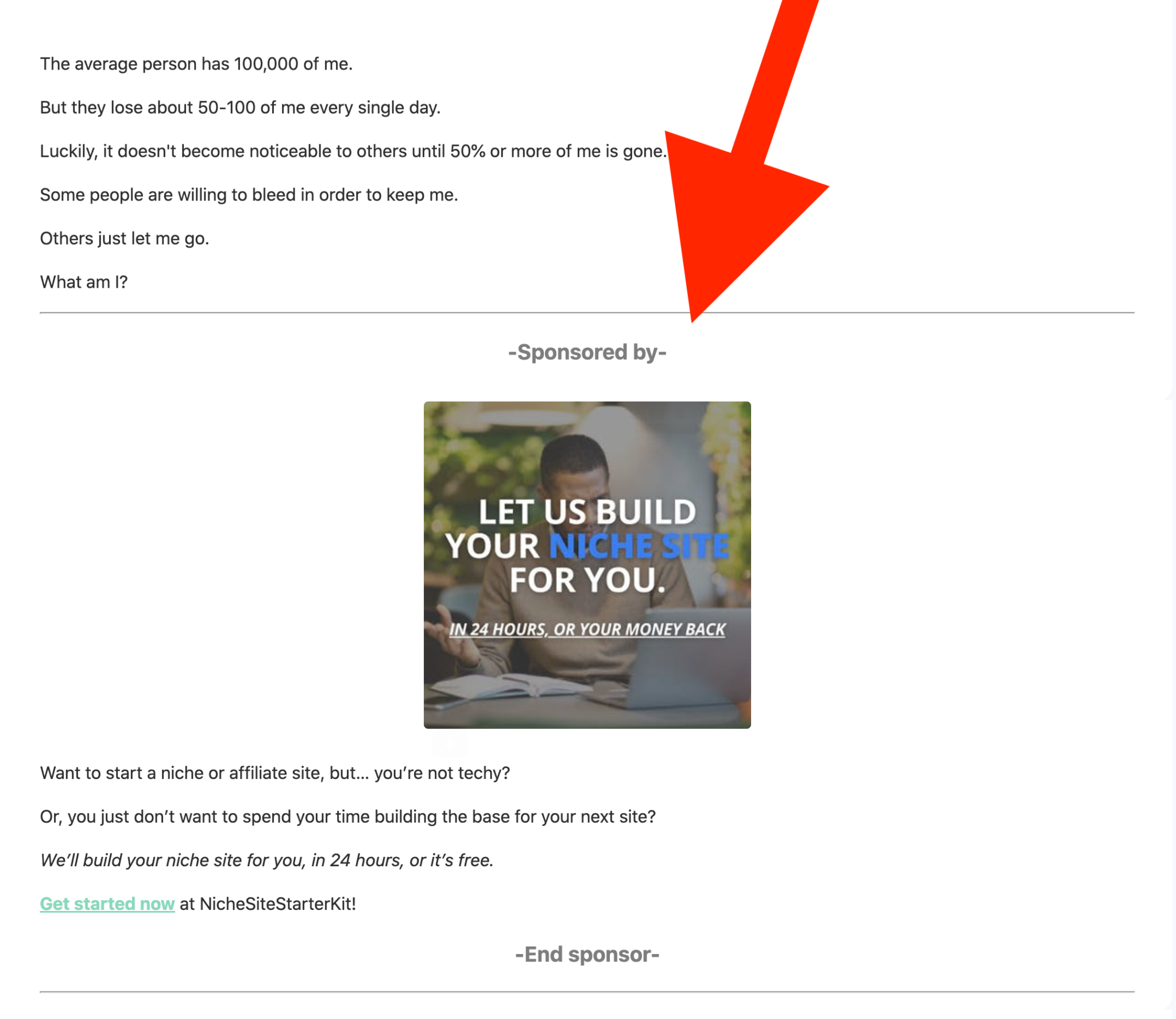 7 different ways to monetize your email lists (With Examples)
